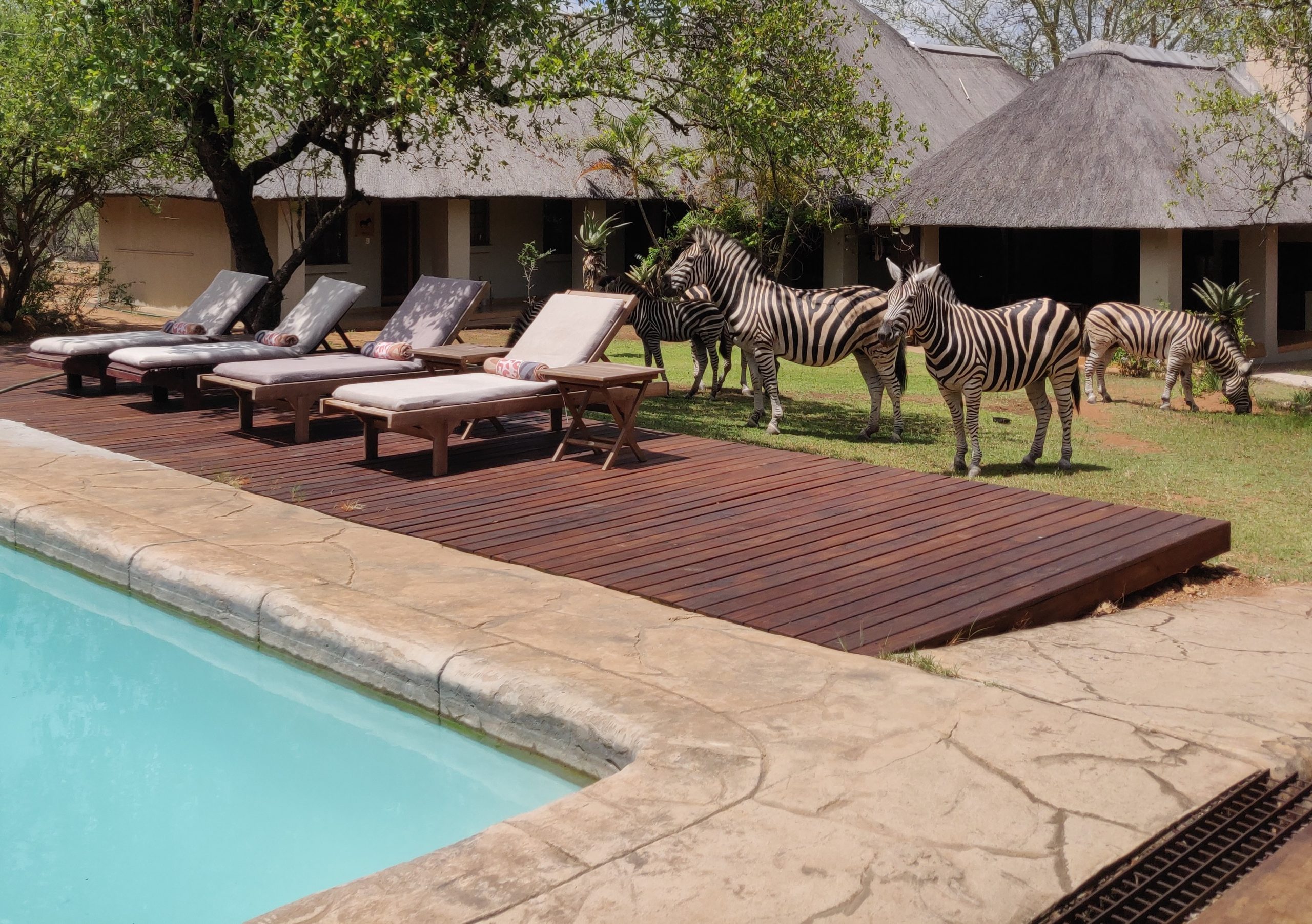 Royal Kruger Lodge and Spa – Marloth Park Tourism